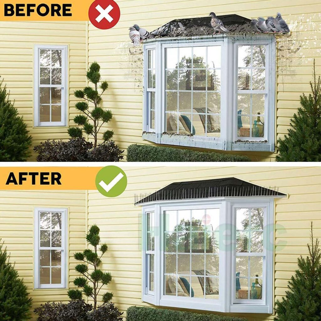 Stainless Steel Bird Spikes with Installation Kit