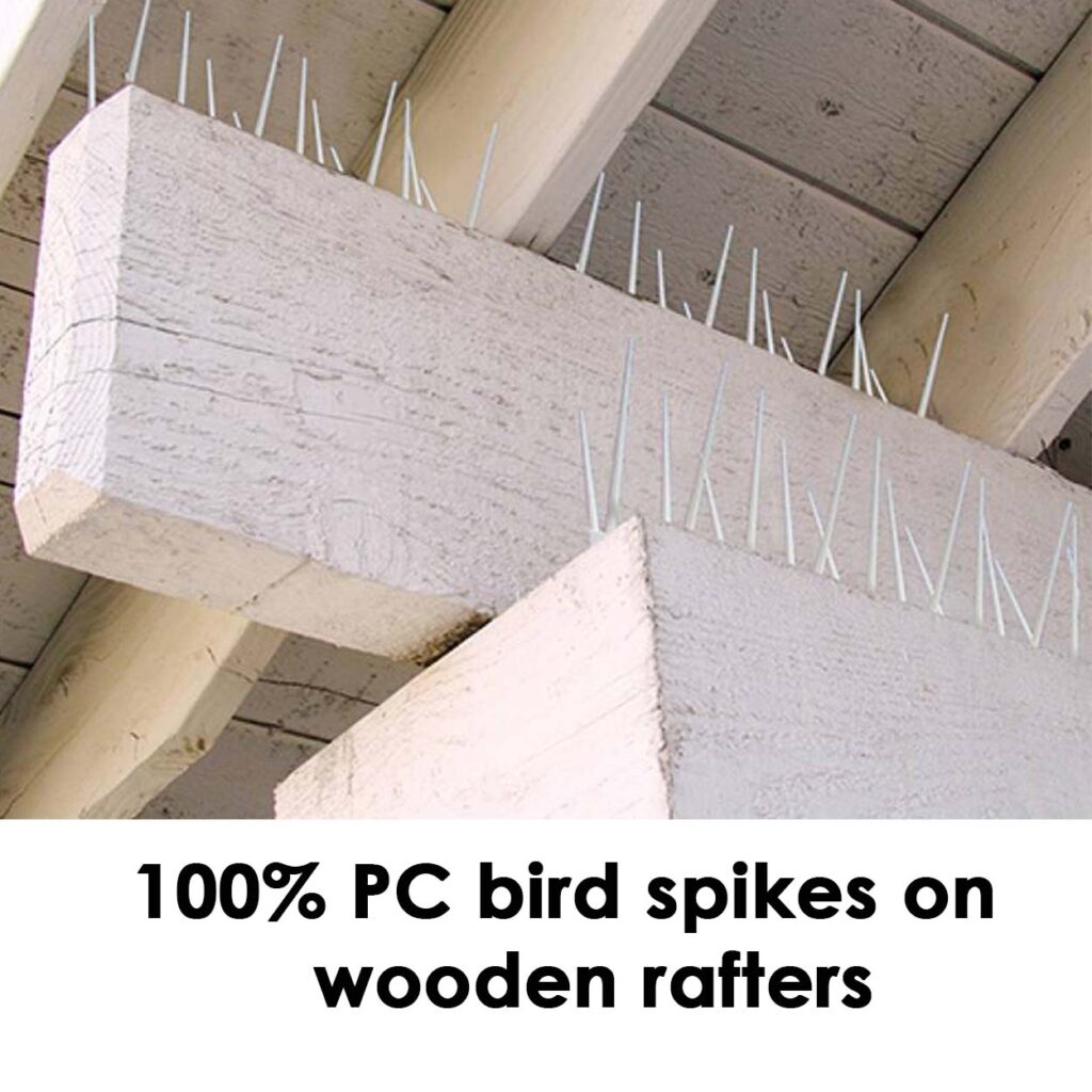 Polycarbonate Pigeon Spikes – Jaliwale.com | World Net Enterprise