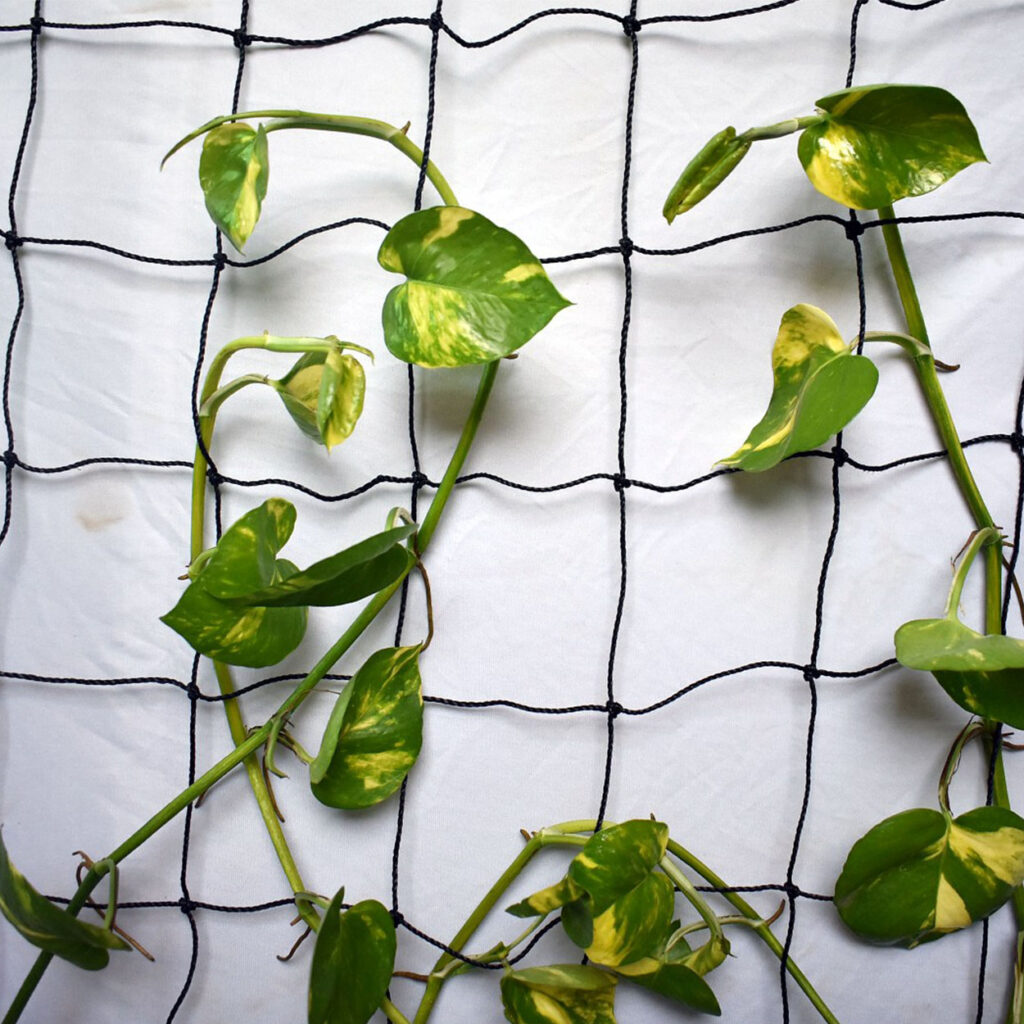 Garden trellis net for climbing plants