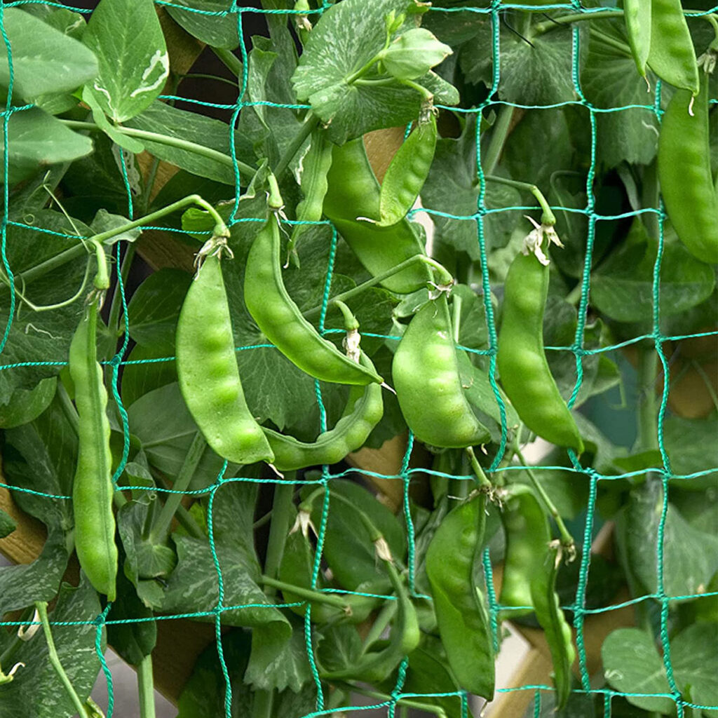 Creeper net for plant climbing